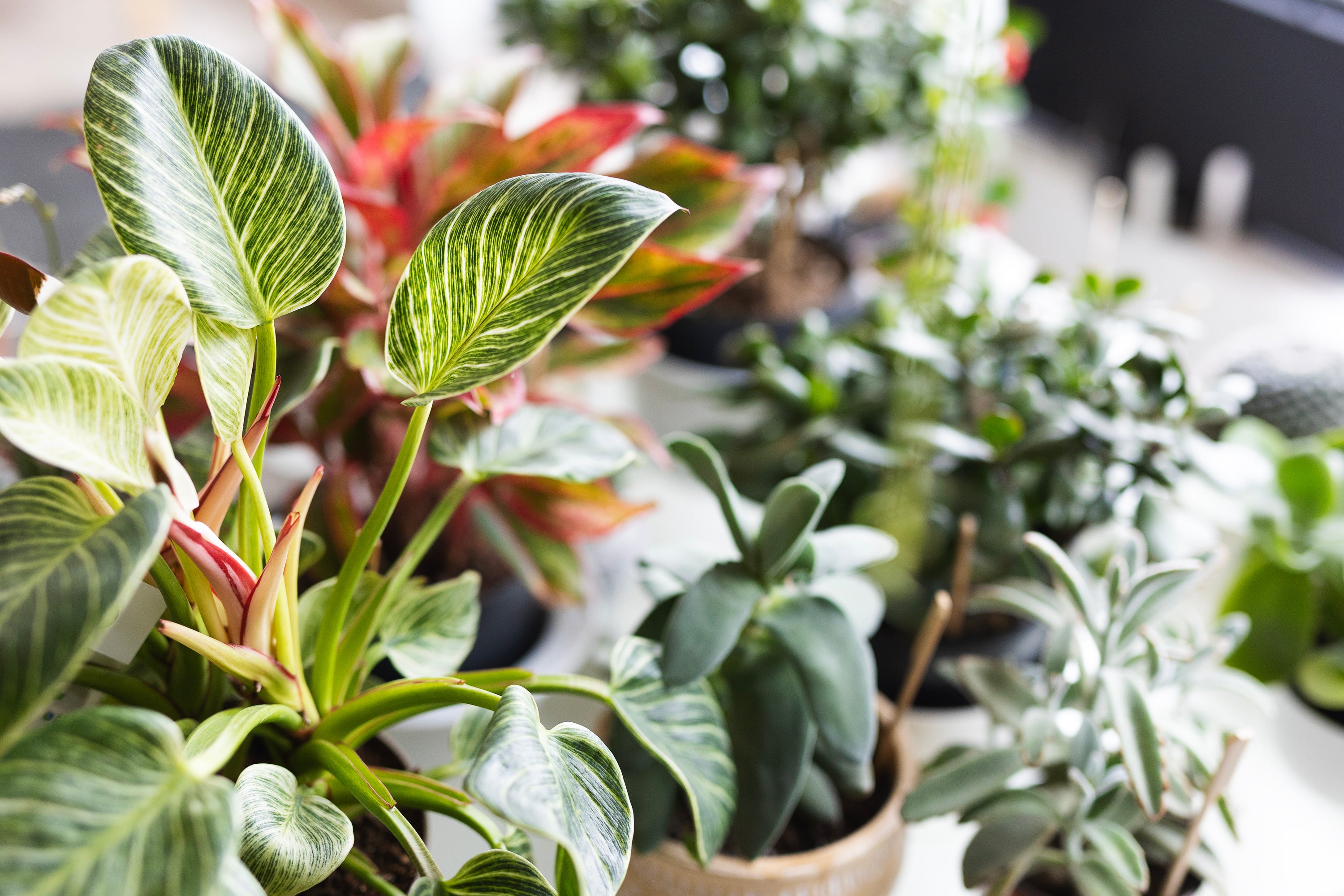 Produits fabriqués par Vert métal – Vert metal