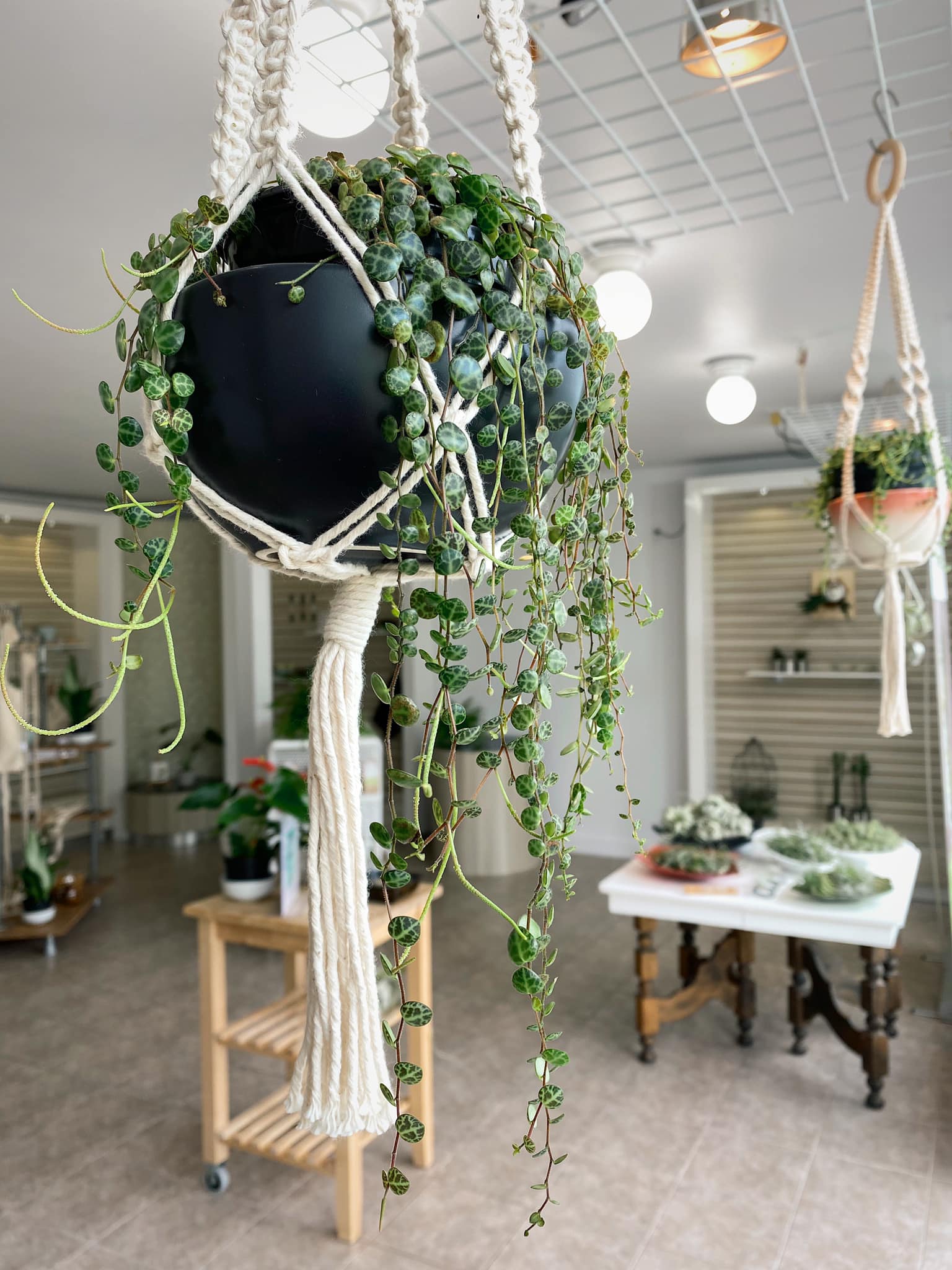 La Boutique – Vert metal