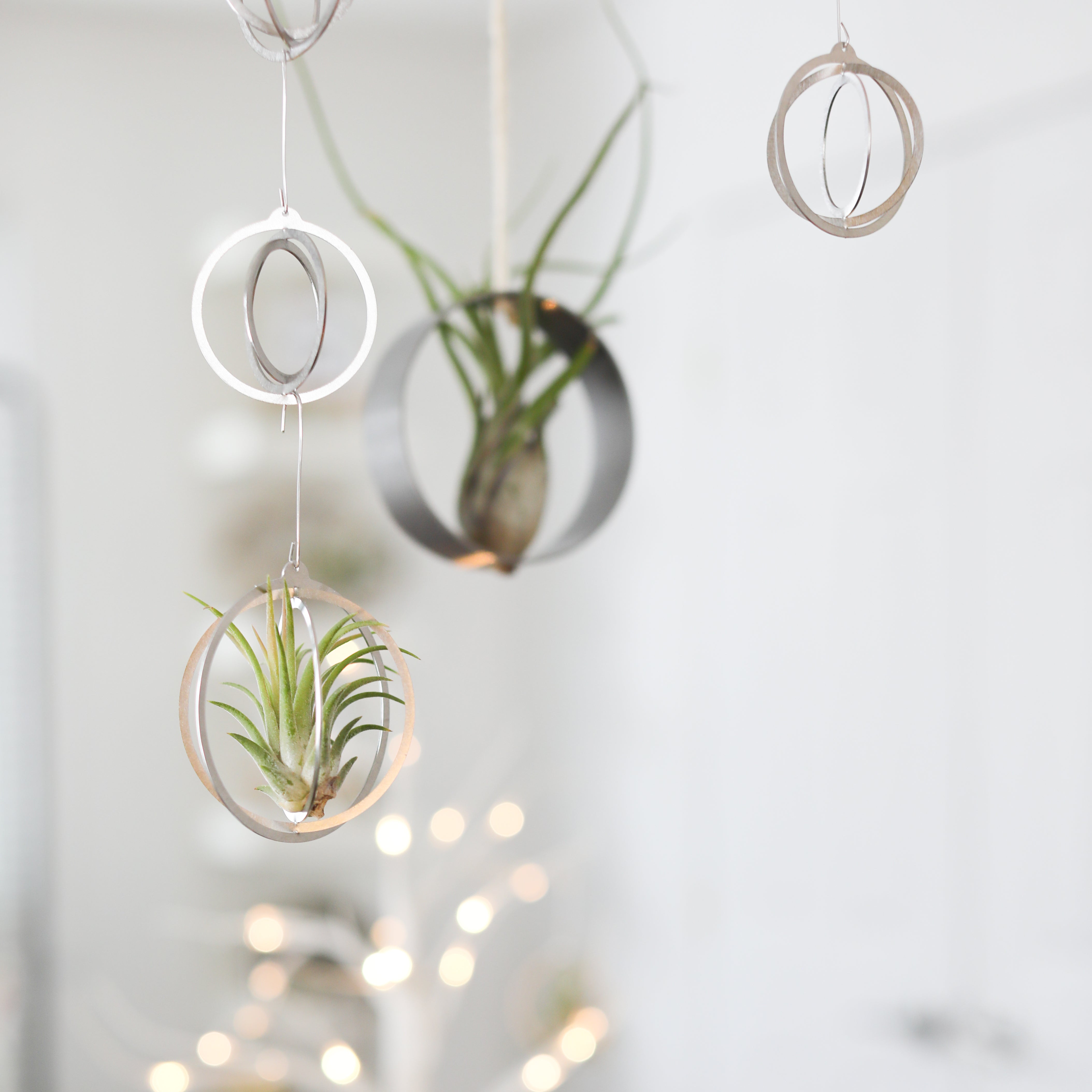 La Boutique – Vert metal