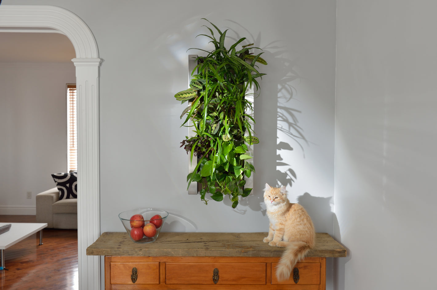 La Boutique – Vert metal