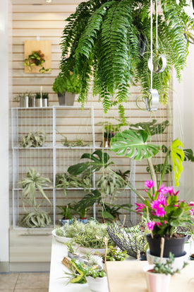 Contact – Vert metal