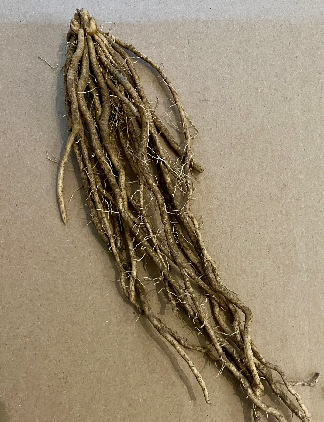 Nouveautés – Vert metal