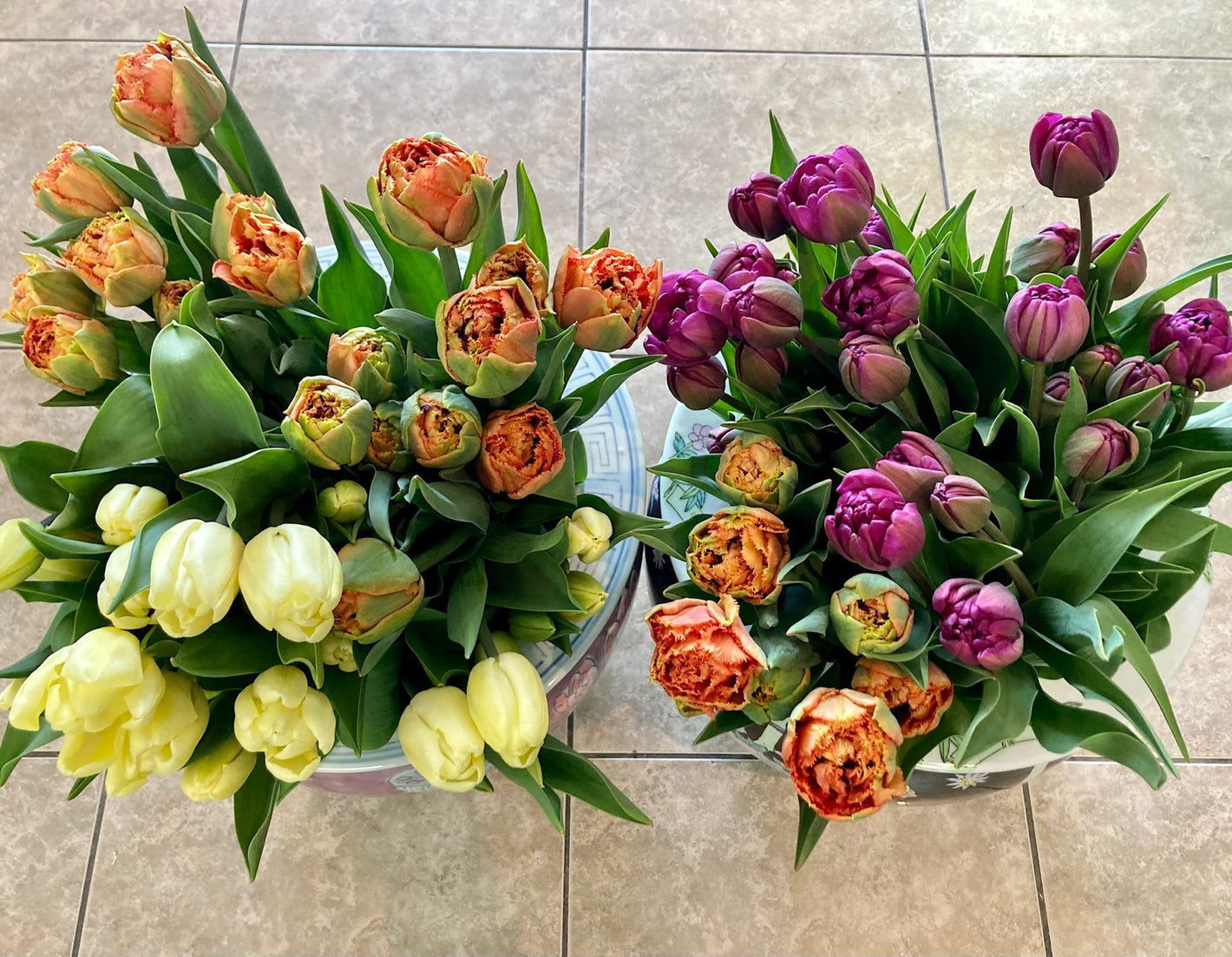 La Boutique – Vert metal