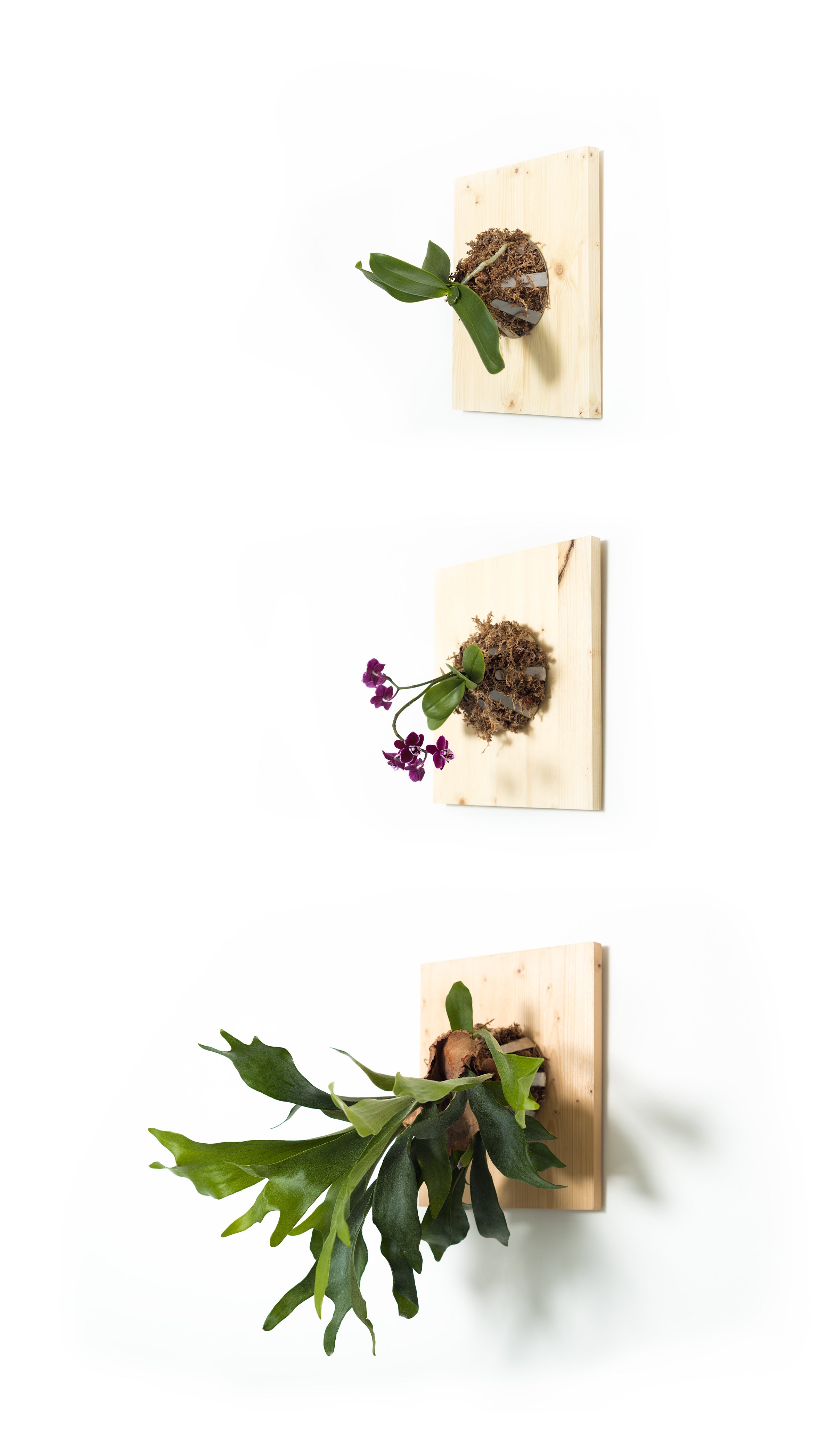 Contact – Vert metal