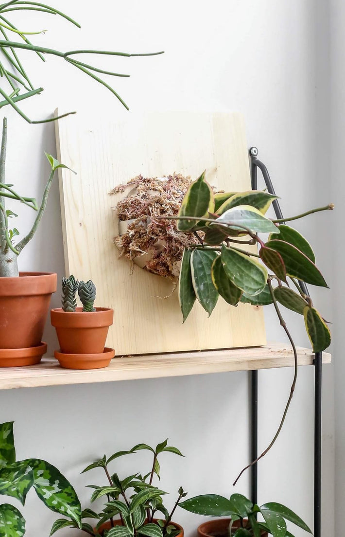 Contact – Vert metal