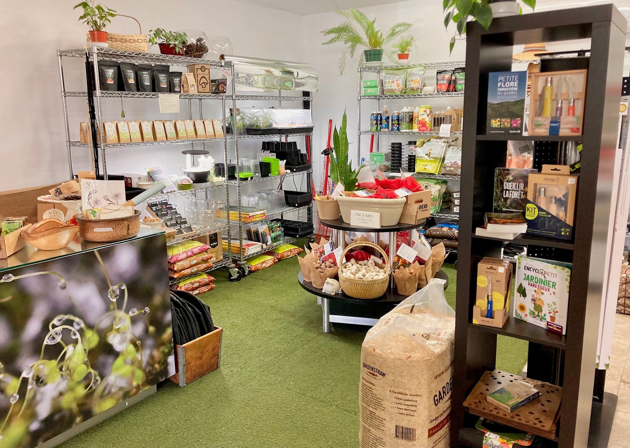 La Boutique – Vert metal