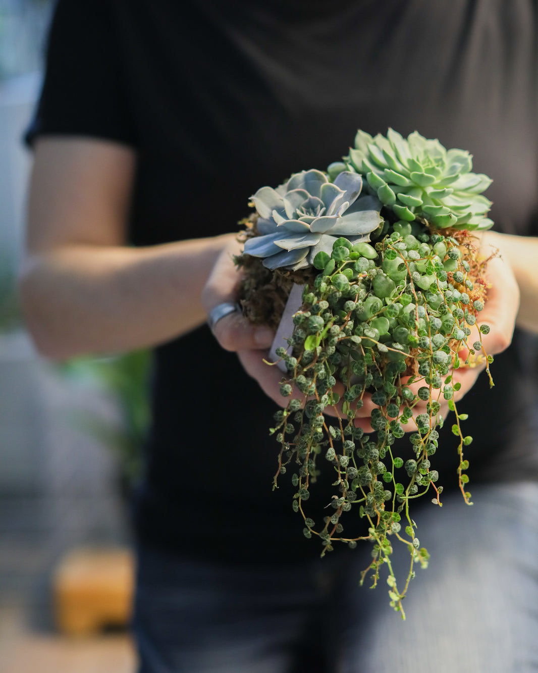 Vert métal - détaillant et fabricant d'accessoires horticoles – Vert metal