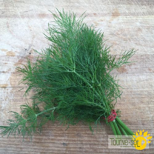Aneth Bouquet – Vert metal