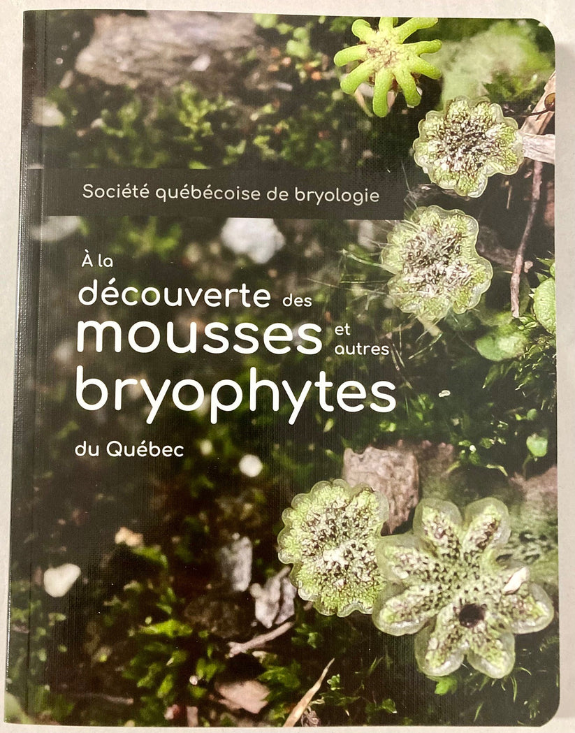 À la découverte des mousses et autres bryophytes du Québec – Vert metal