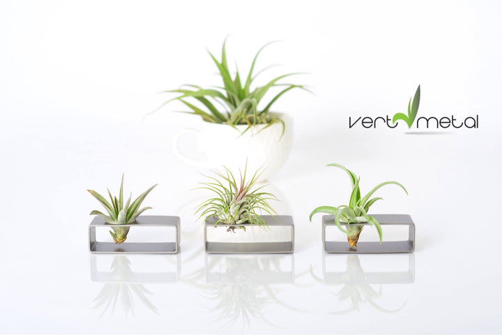 Vert métal - détaillant et fabricant d'accessoires horticoles – Vert metal